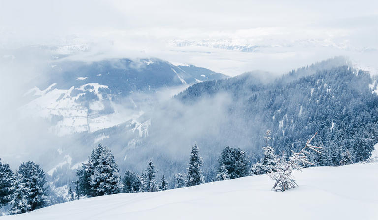 Irish teen facing prosecution after fleeing scene of fatal ski accident