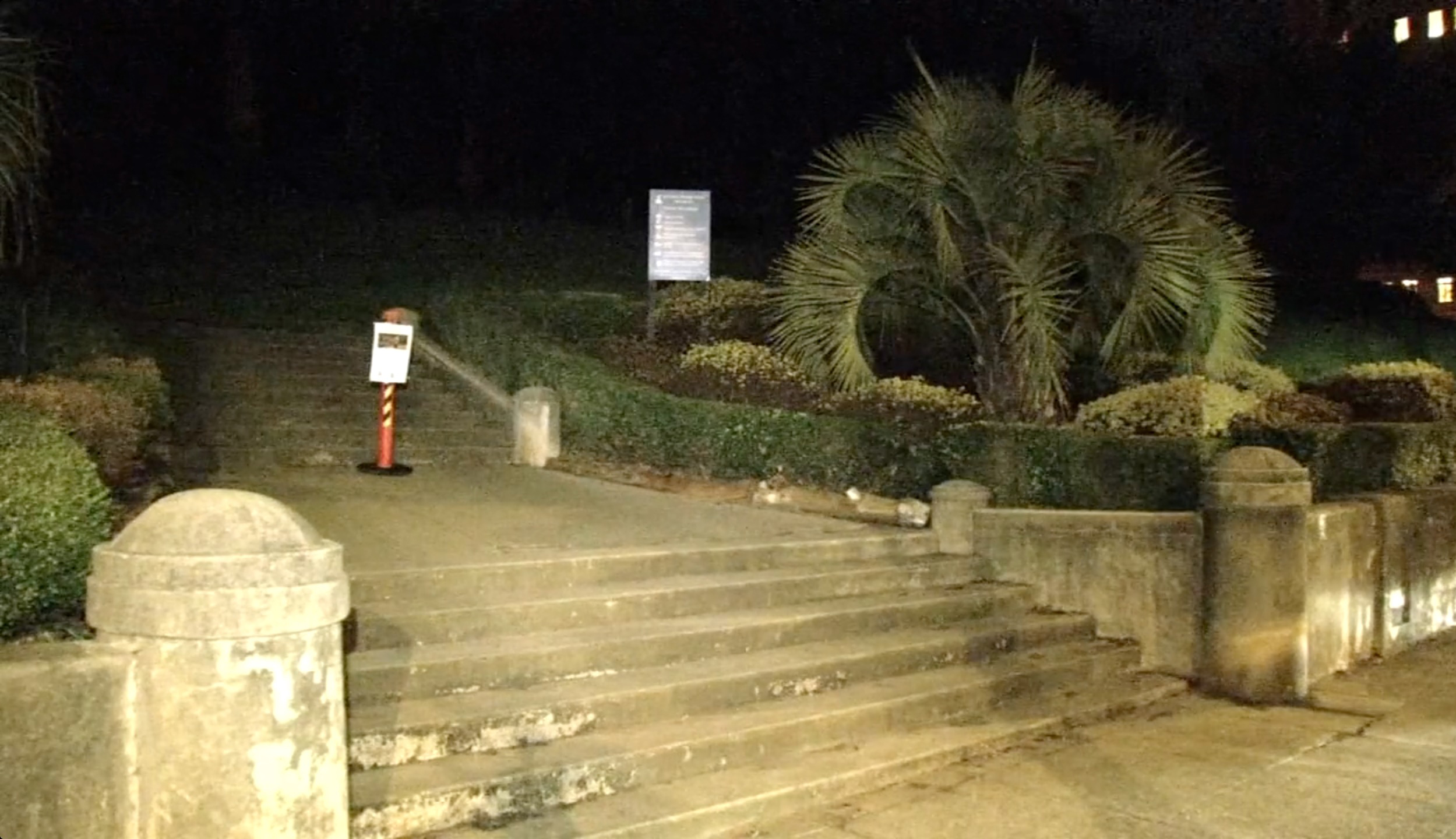 Mountain lion sightings put San Francisco’s posh Pacific Heights on ...