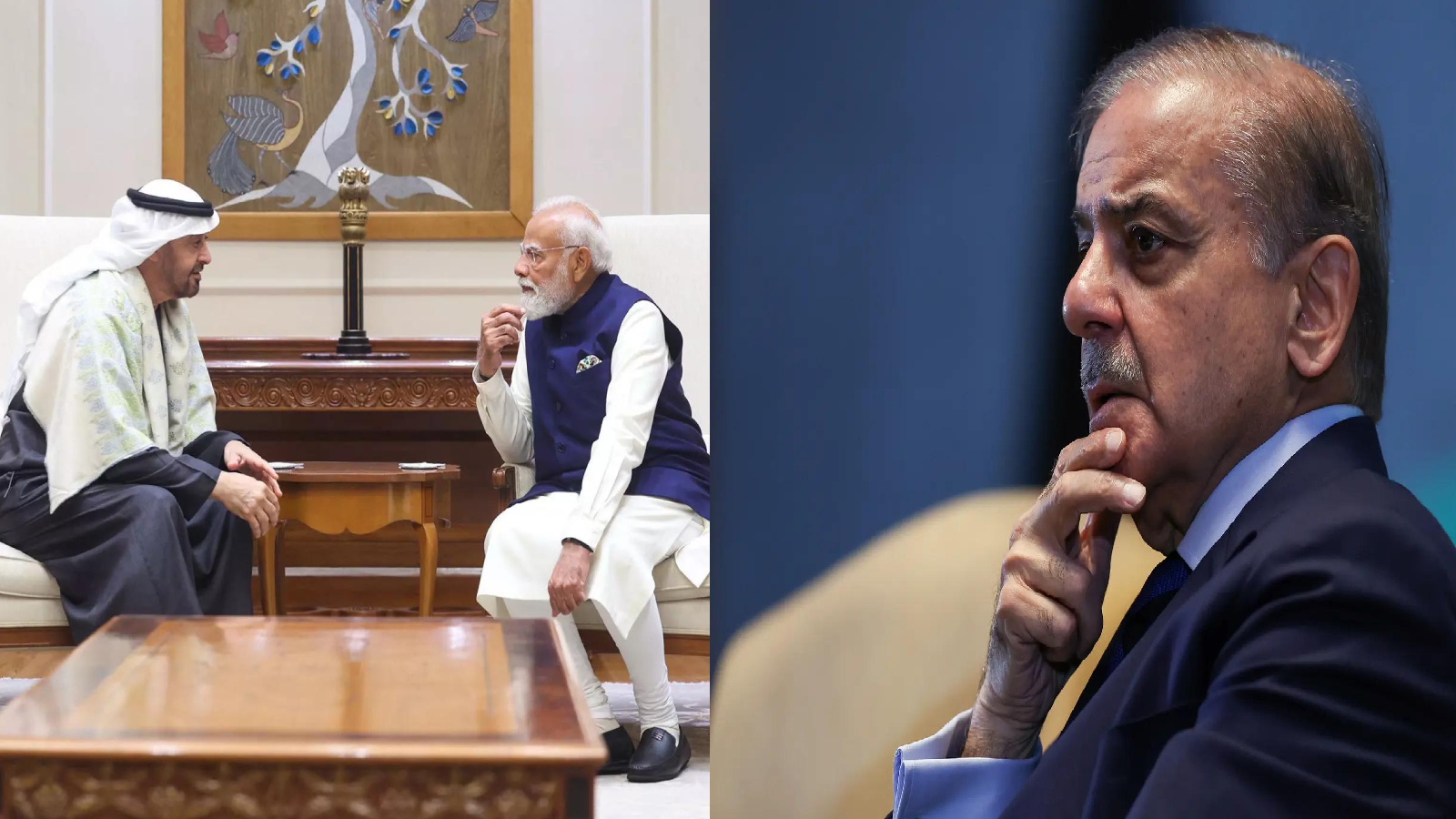 India a key driver of global energy demand: UAE minister