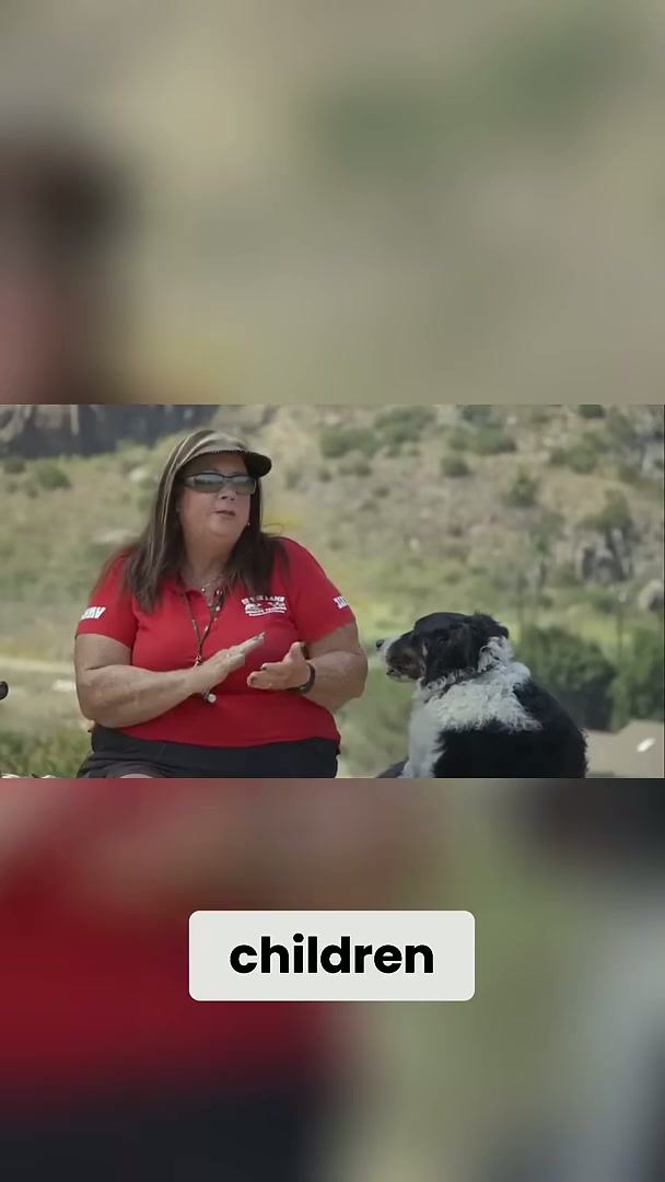 Border collie secrets that most owners get wrong!