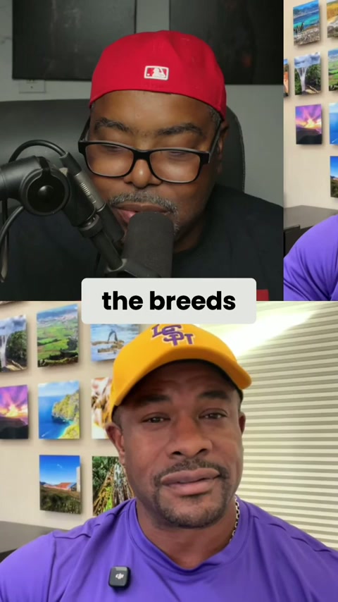 Dog breeding secrets: generations of wisdom