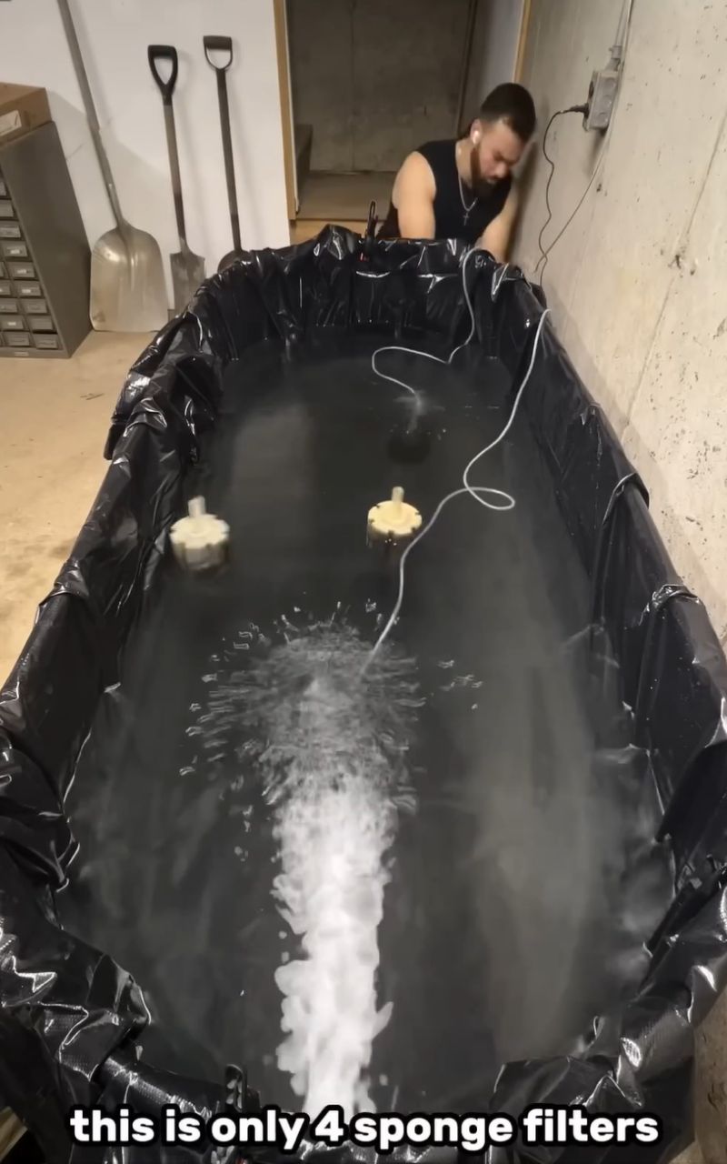 How to make a 300 gallon above ground pond