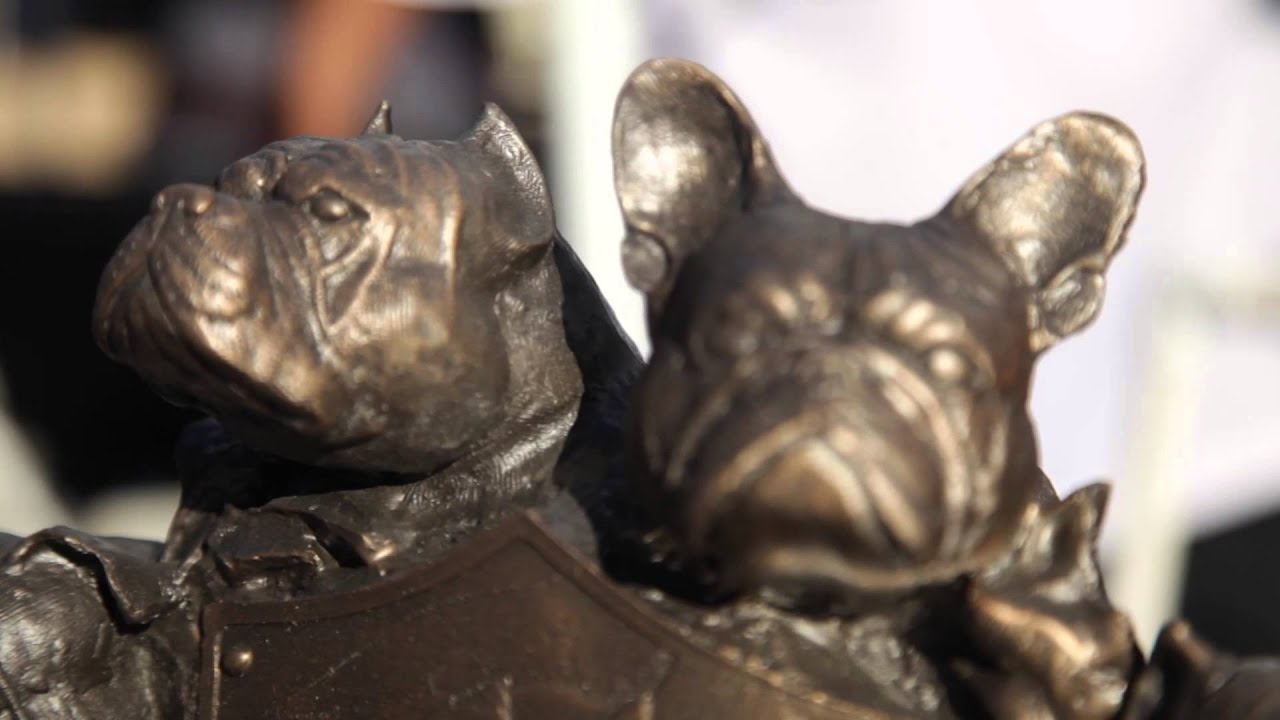 American Bully Dog Show - 2015 Vegas Invitationals