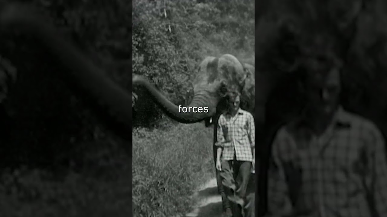 An impressive experiment... glad we don't do this anymore