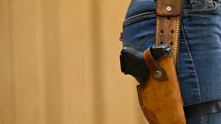 Here are the rules and data for a permit to carry in Minnesota