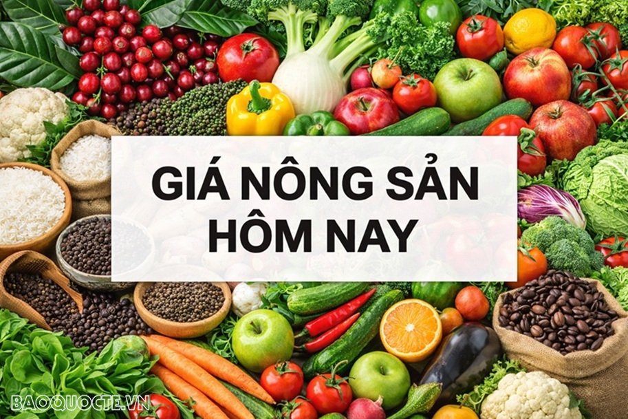 Giá nông sản hôm nay 27/1/2026: Những dự báo bất ngờ về giá cà phê ...