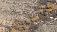 TikToker shocked to discover village at base of Grand Canyon