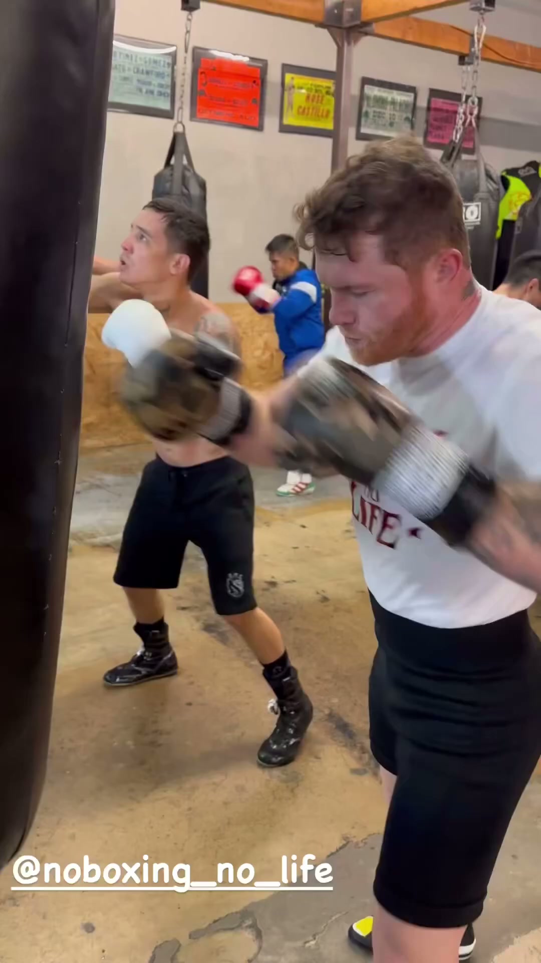 Canelo back in the gym doing heavy bag drills, but who is NEXT?