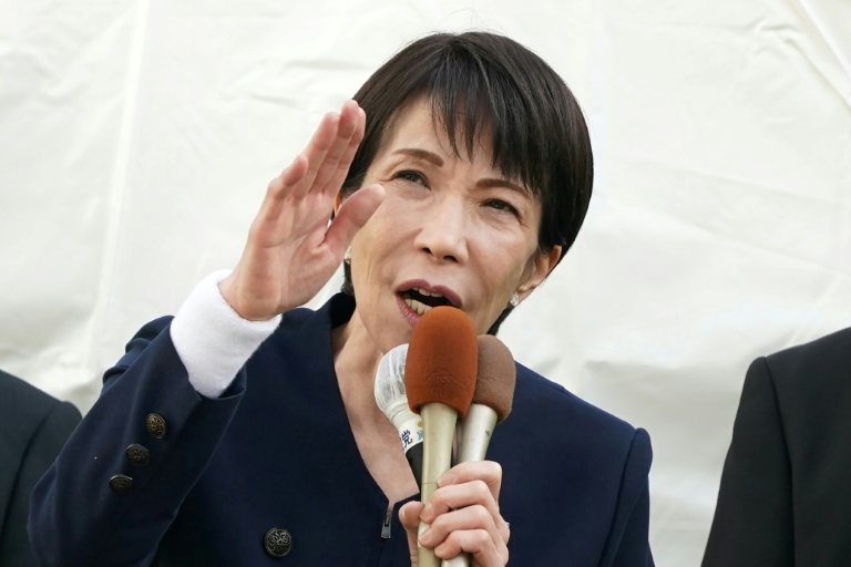 Japan's election campaign kicks off: five things to know