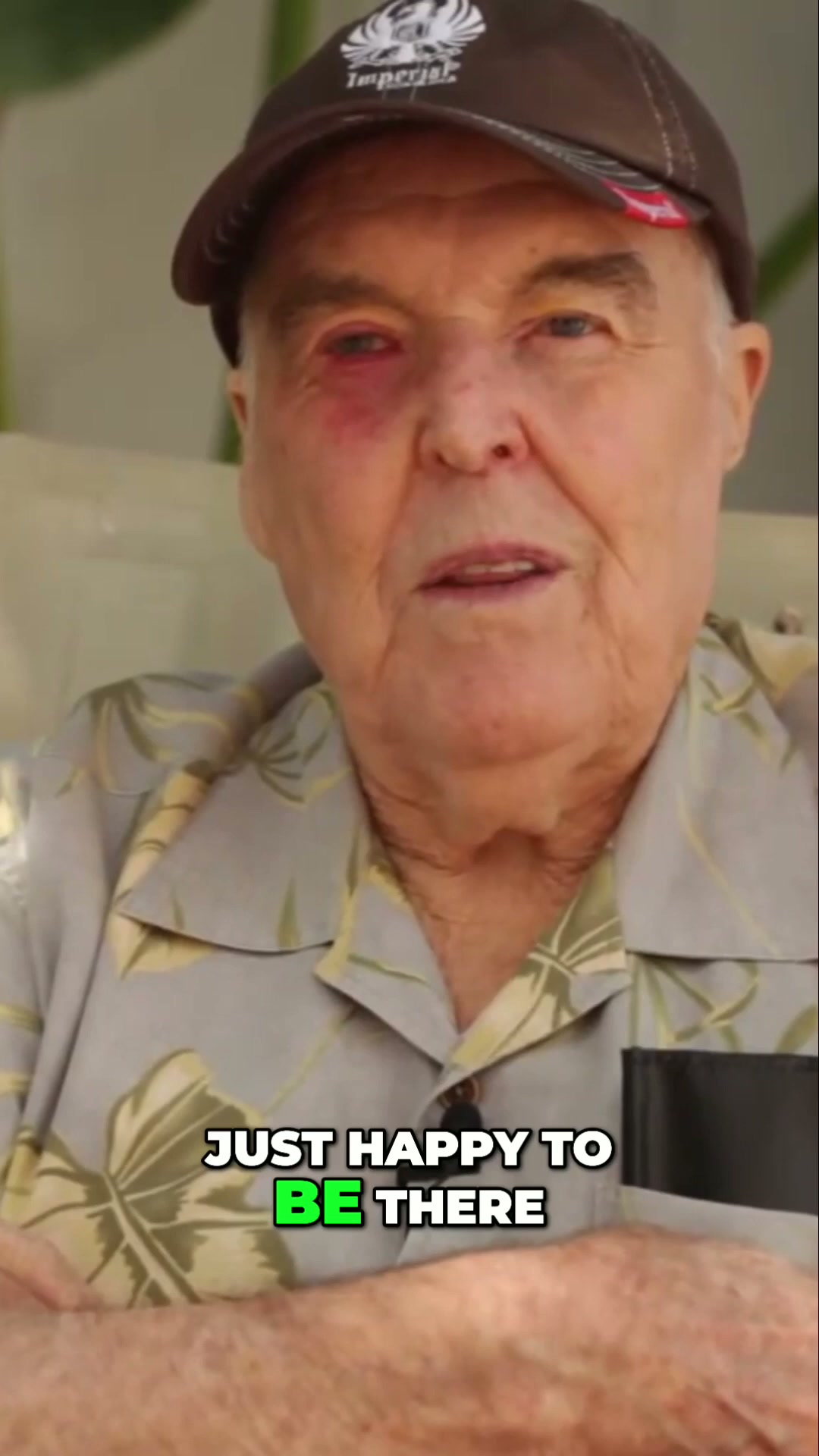 Do dogs really enjoy fighting the shocking truth!