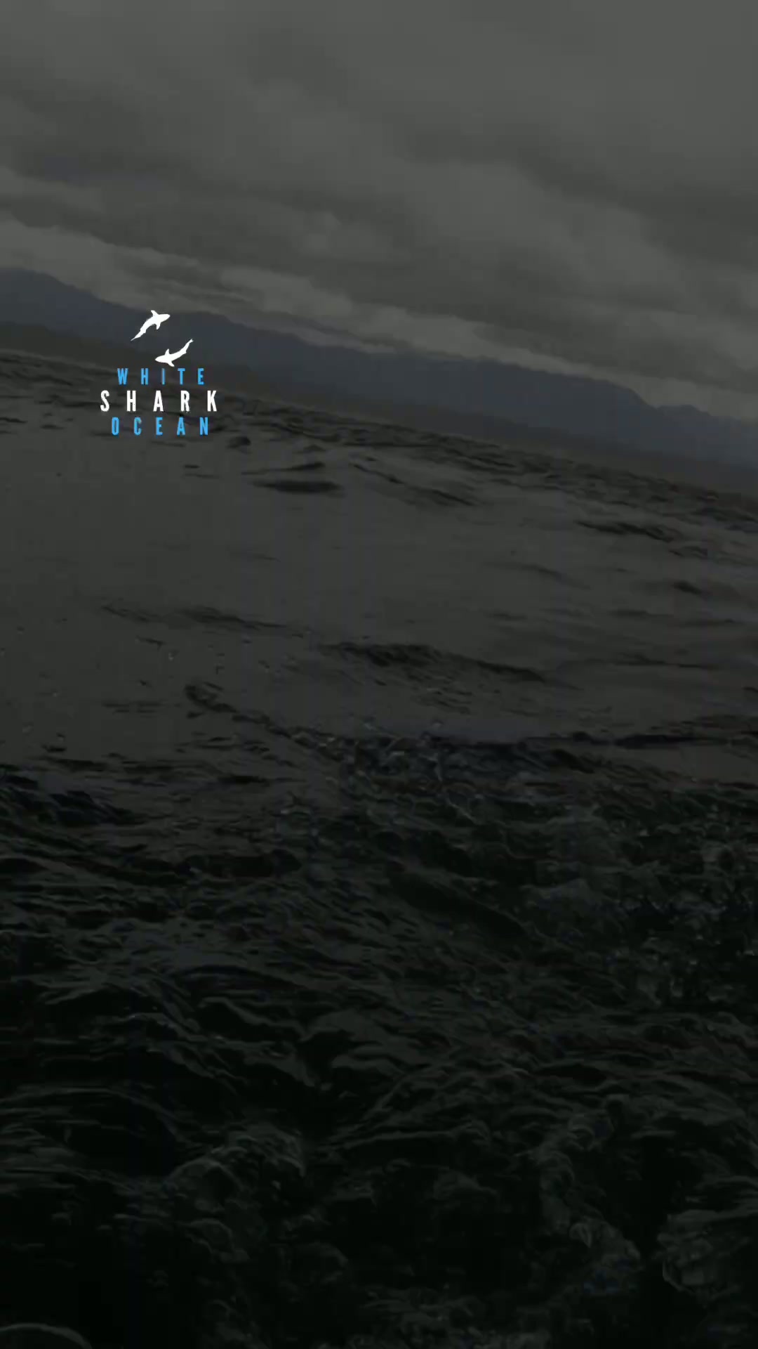 Big Great White Storms Out Of The Water