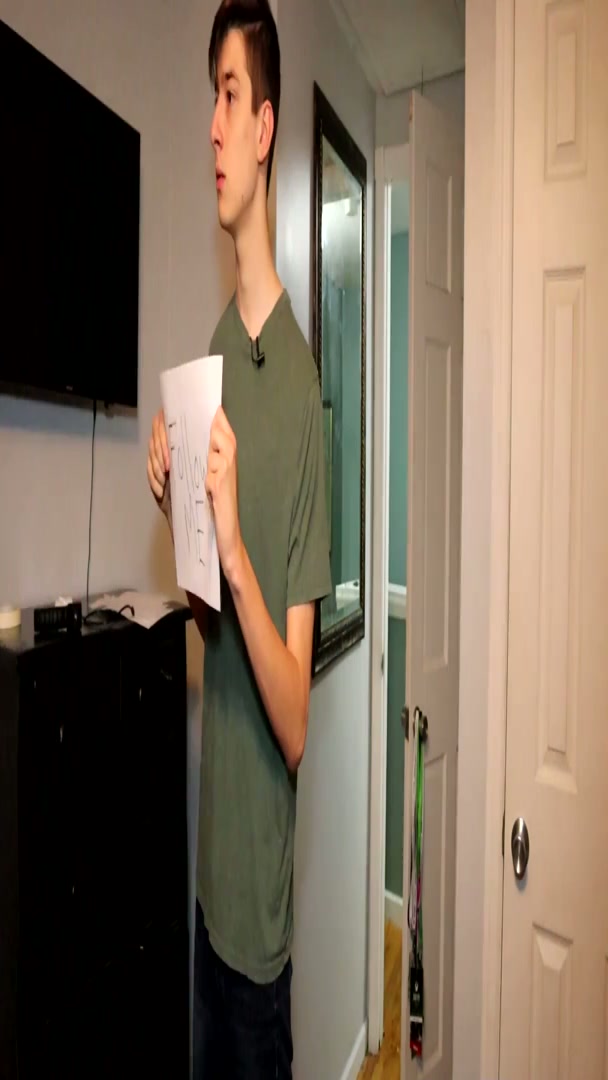 Exploring the dynamics of Halo games as if they were a family and ...