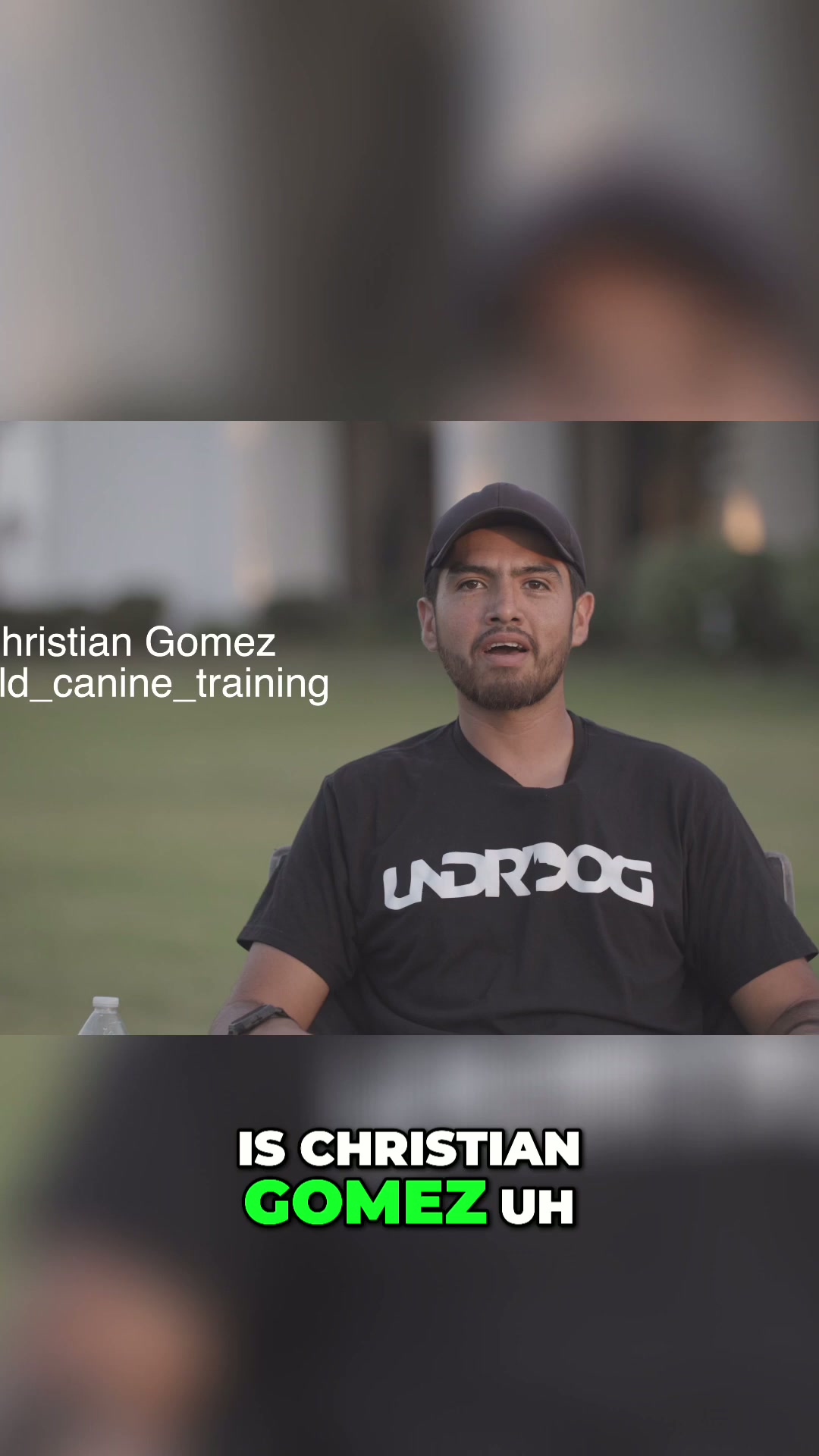 Future dog competitions my top breeds revealed!