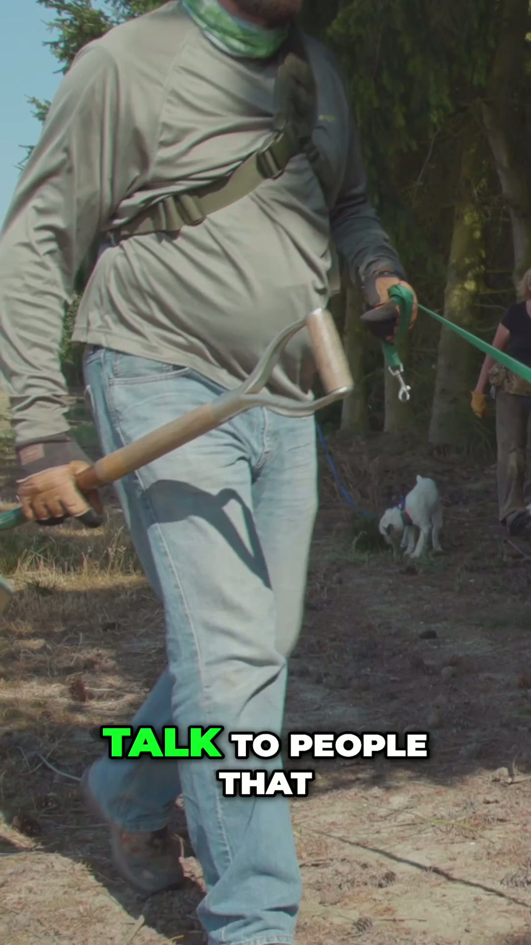 I spent 40 years breeding Jack Russells and here's what I learned!