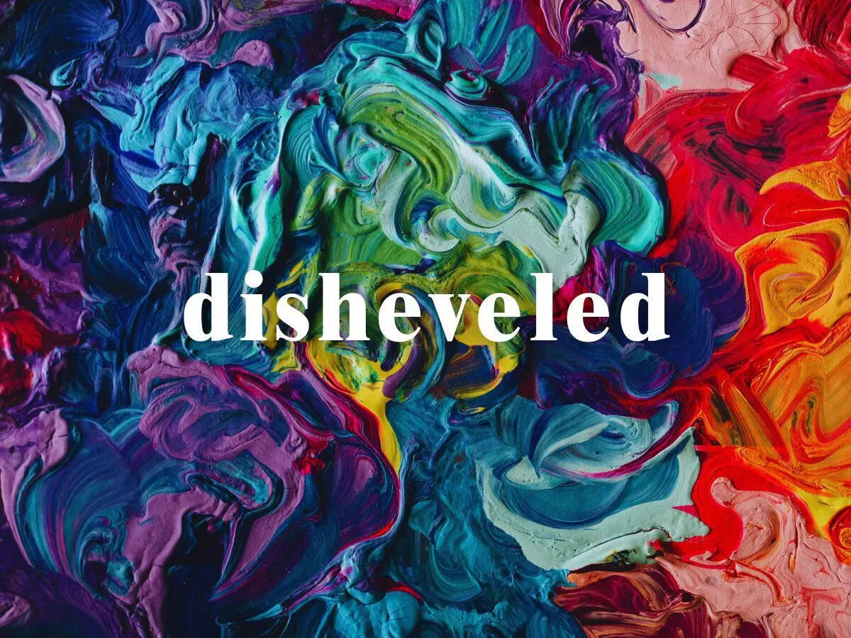 Word of the day: Disheveled