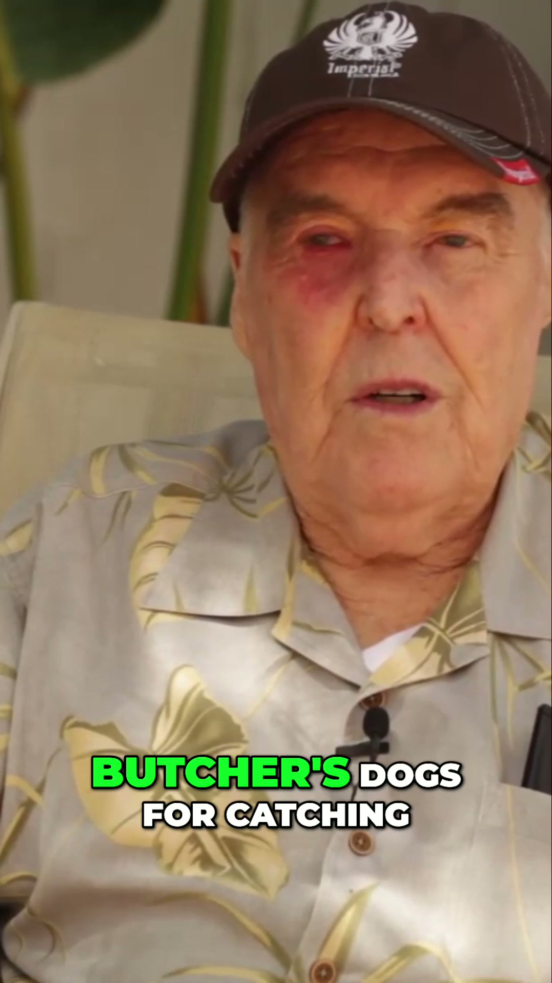 Uncovering dogs' fascinating historical roles in hunting and farming