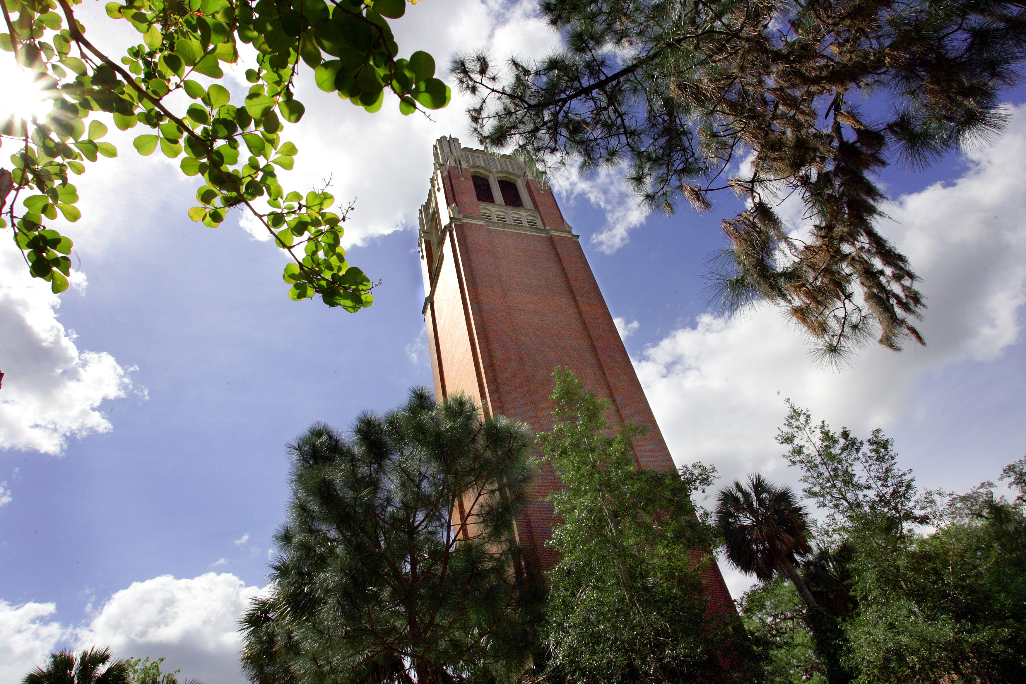 US News ranks UF first for online bachelor’s degree programs