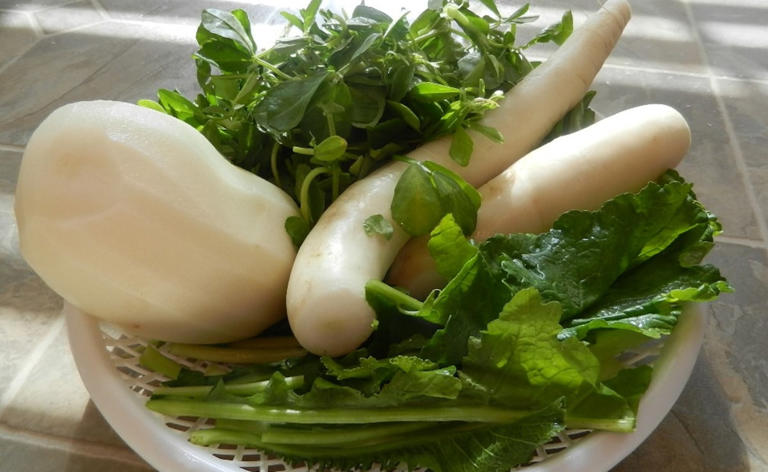 Is consuming muli ki patte or radish leaves at night beneficial for ...