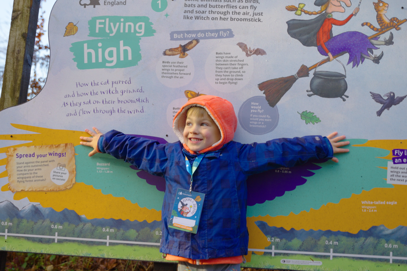 Delamere Forest launches magical new Room on the Broom trail