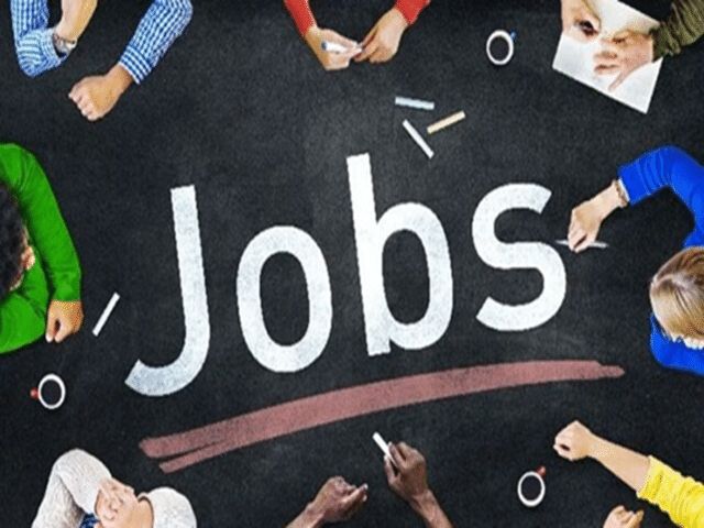 YIL trade apprentice 2026: Get both salary and experience… 3979 young ...