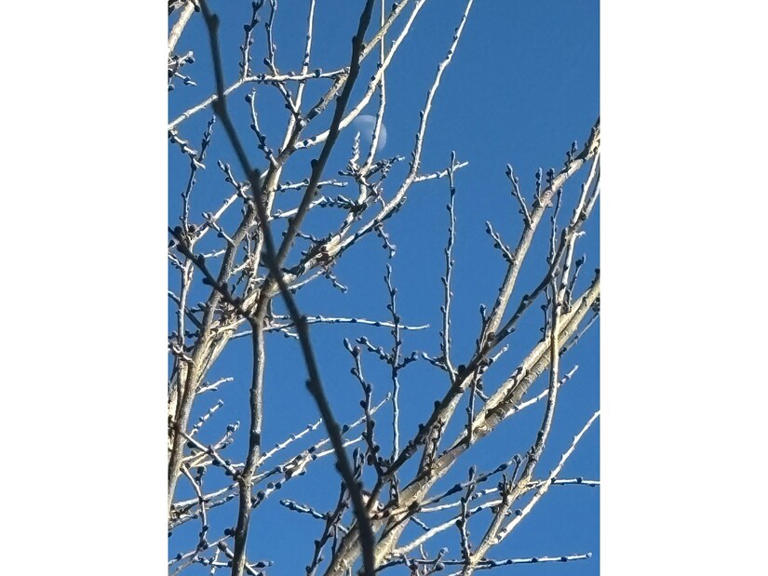 🌱 Patch AM: How Denver’s National Western Stock Show smashed a 20-year ...