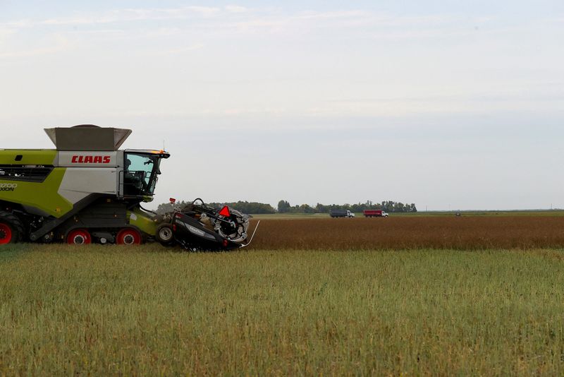 Exclusive - China buys more Canadian canola after Mark Carney visit