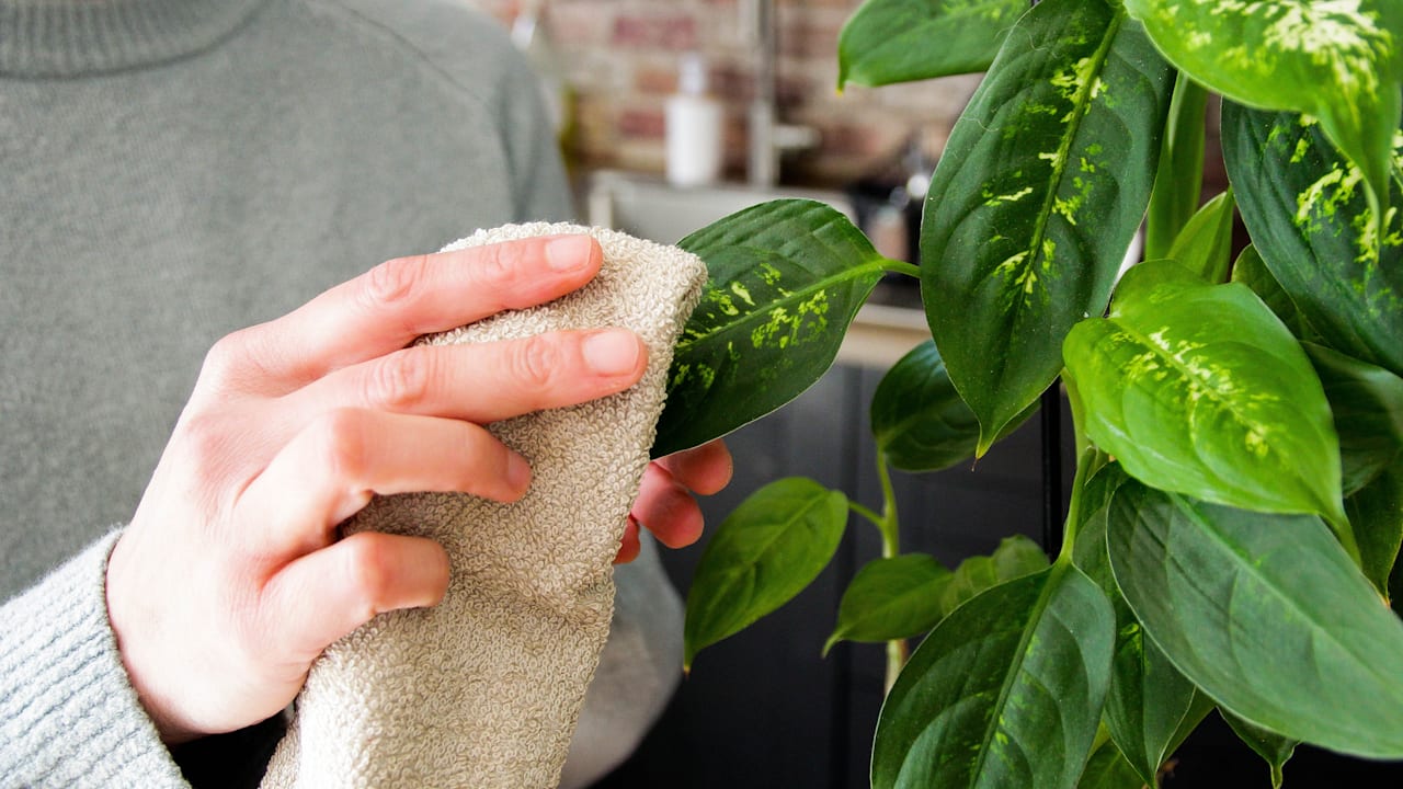 Ups vergessen - diese Stellen im Wohnzimmer bleiben oft schmutzig