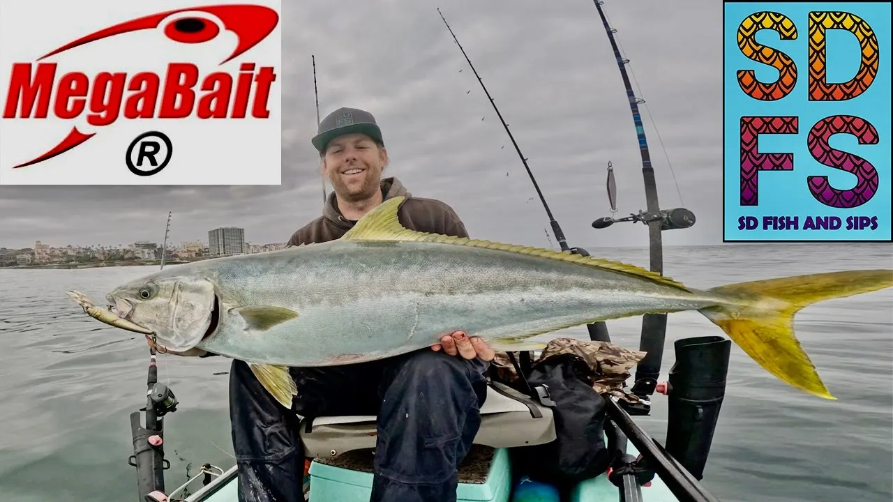 Megabait trolling lures for yellowtail fishing in La Jolla