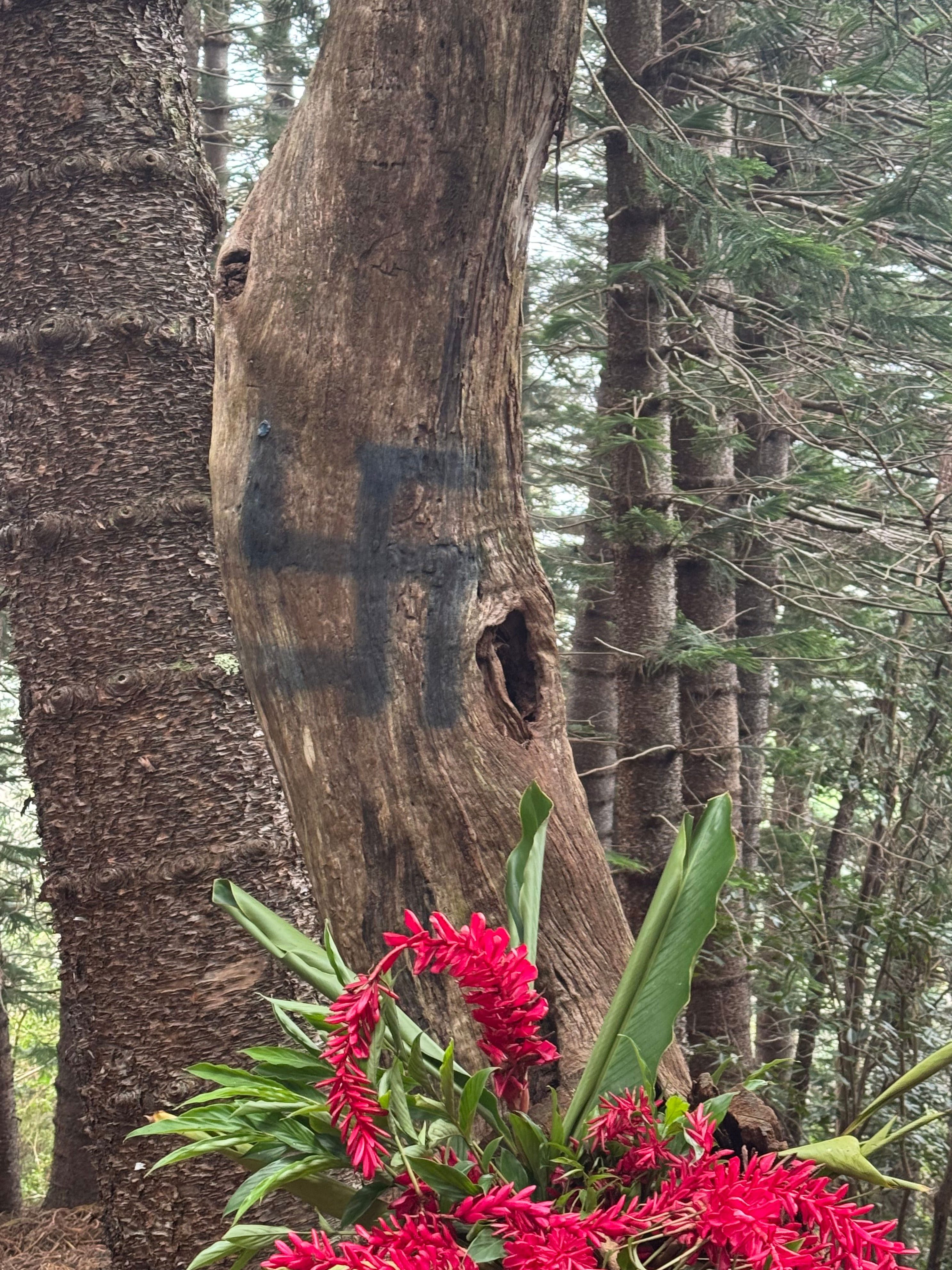 'Pure hate': Popular Kauai hiking trail spray-painted with swastikas