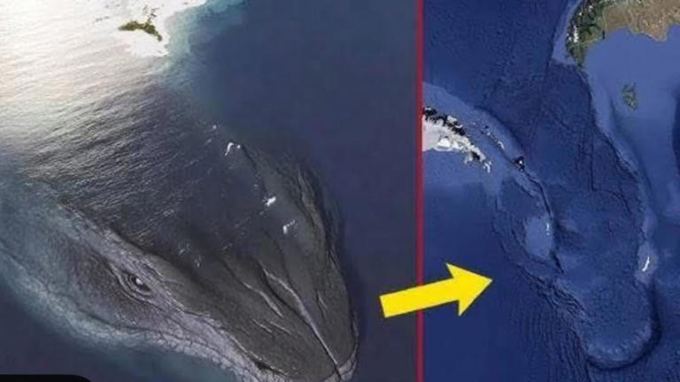 What is Facebook's 'Leviathan' theory, and why has it been spreading ...
