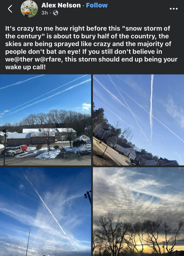 What is Facebook's 'Leviathan' theory, and why has it been spreading online? Why some people ...