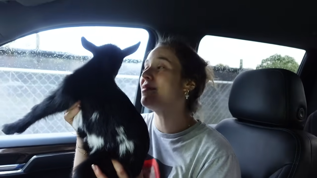 The baby goat rescue that changed everything