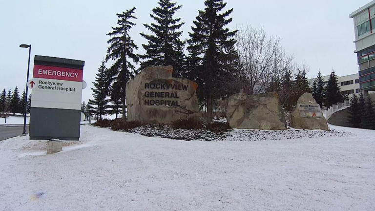 'Please don't let me die': Calgary patients recount long waits in ...