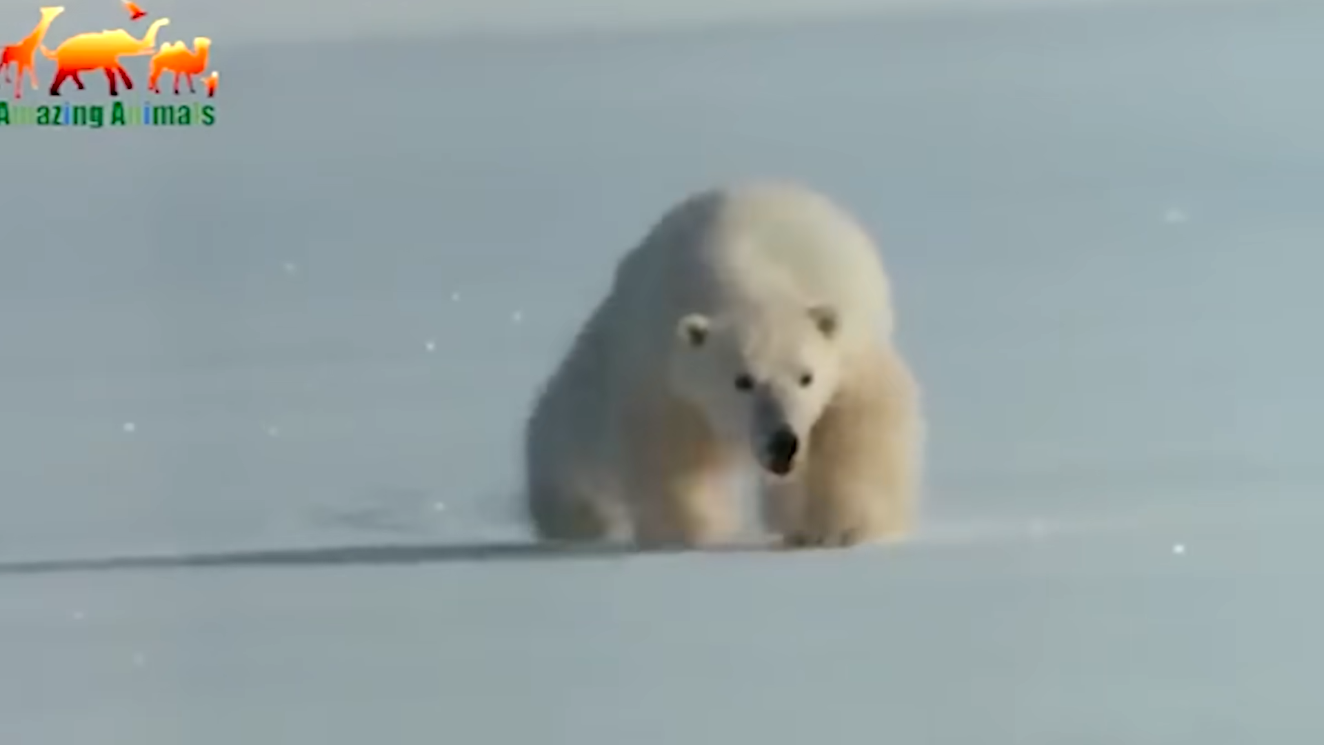 Arctic meta exposes weaknesses other environments hide