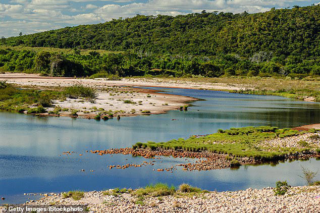 Piranha attack leaves ten people injured and forces Brazil tourist spot ...