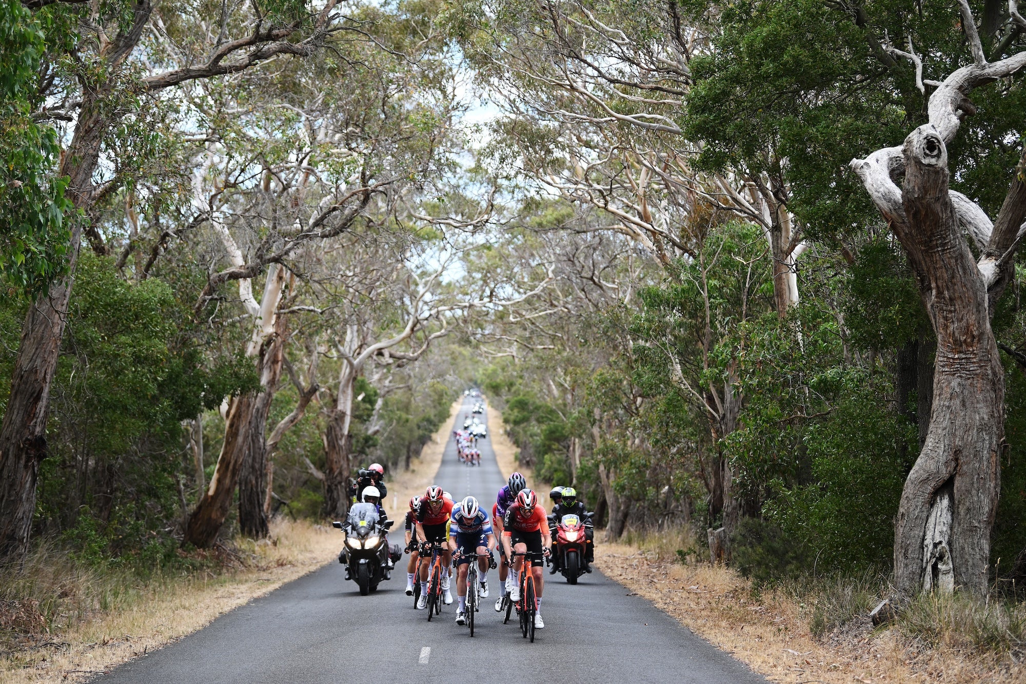 Extreme bushfire risk sparks race cancellations in Australia