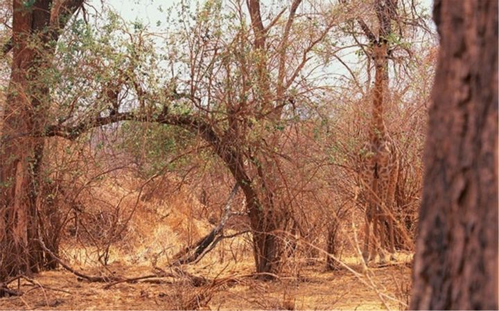 36+ photos that made us look twice