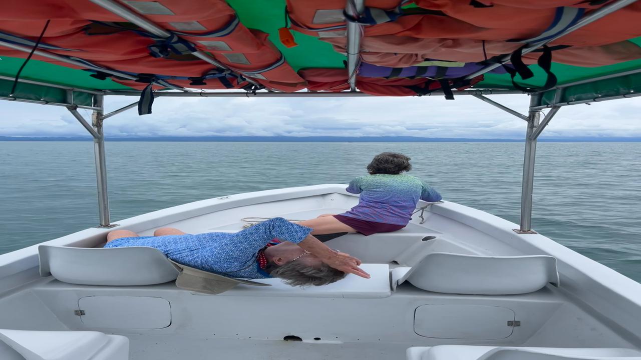 Enthusiastic tourists react to whale sightings