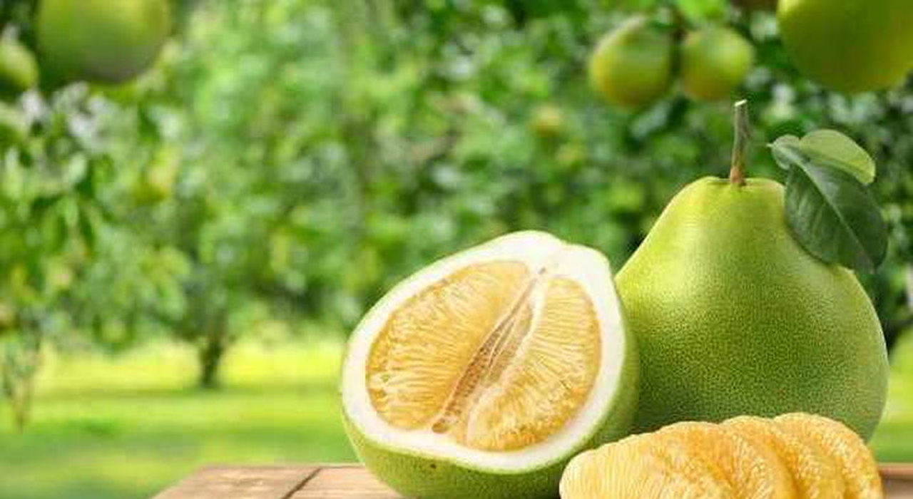 Il pomelo è il nuovo trend a Milano: scoppia la mania per l’agrume più ...