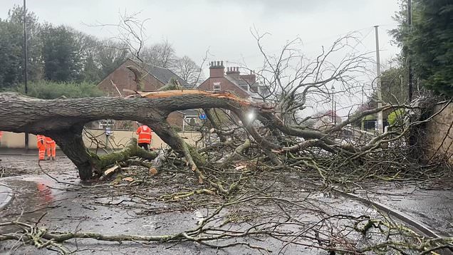 Huge tree brought down by Storm Chandra blocks road in Durham