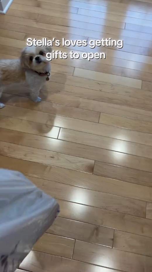 Stella’s new toy unboxing