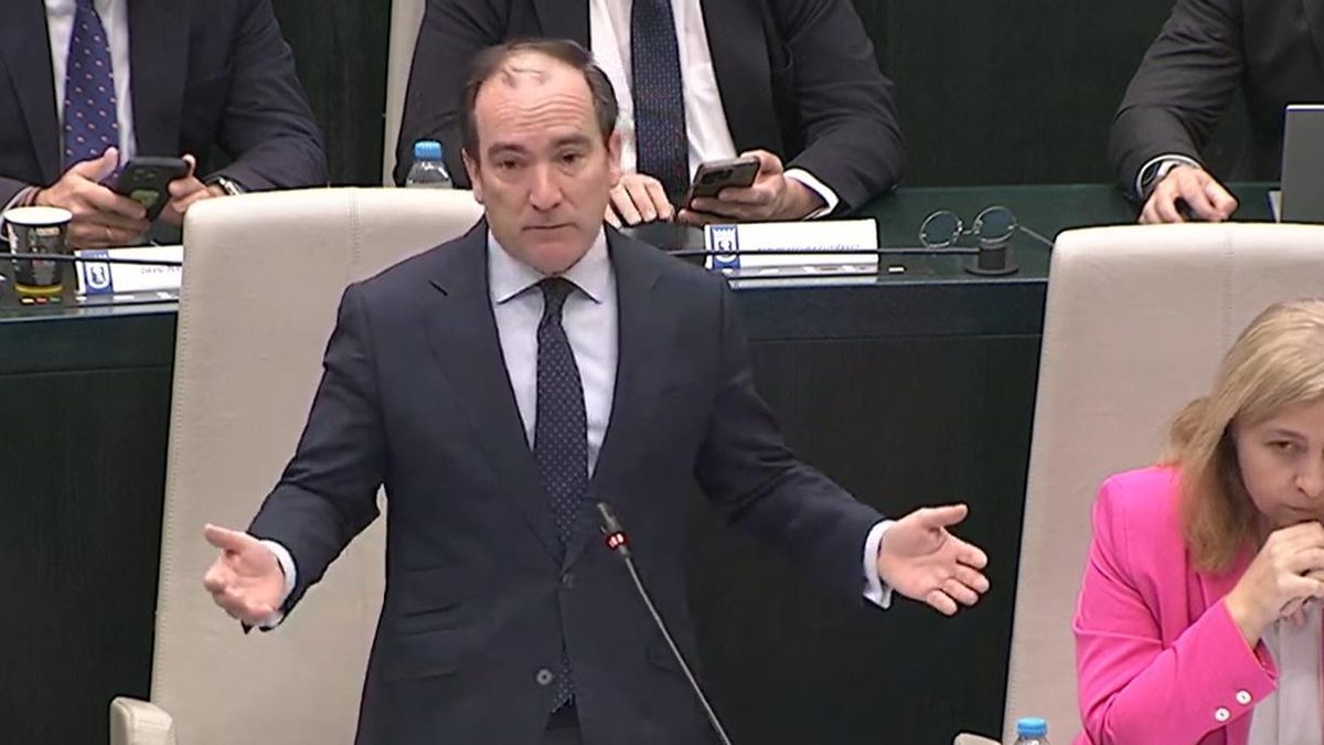 El PP vota por error contra una propuesta que pedía democracia real y ...