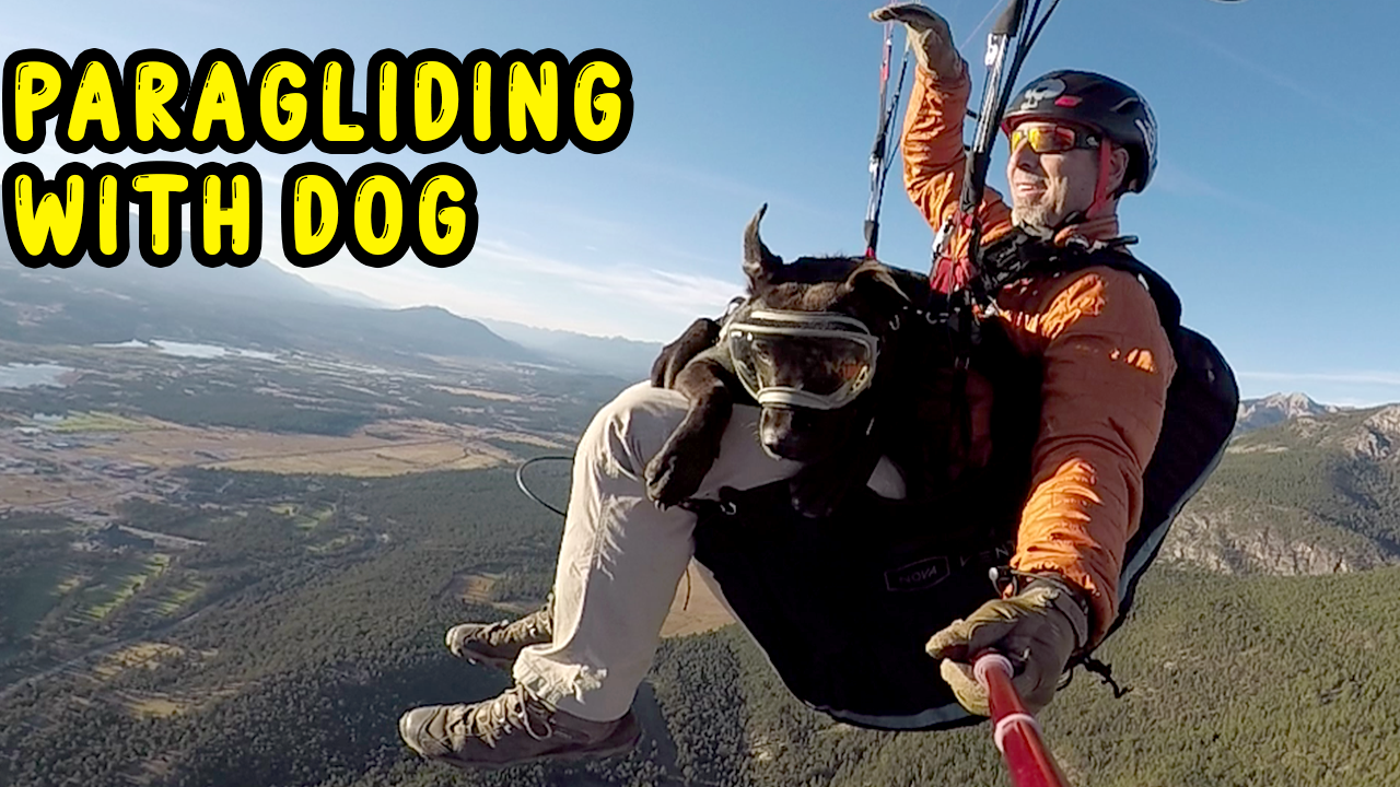 Sporty dog paragliding over Canadian landscape with owner
