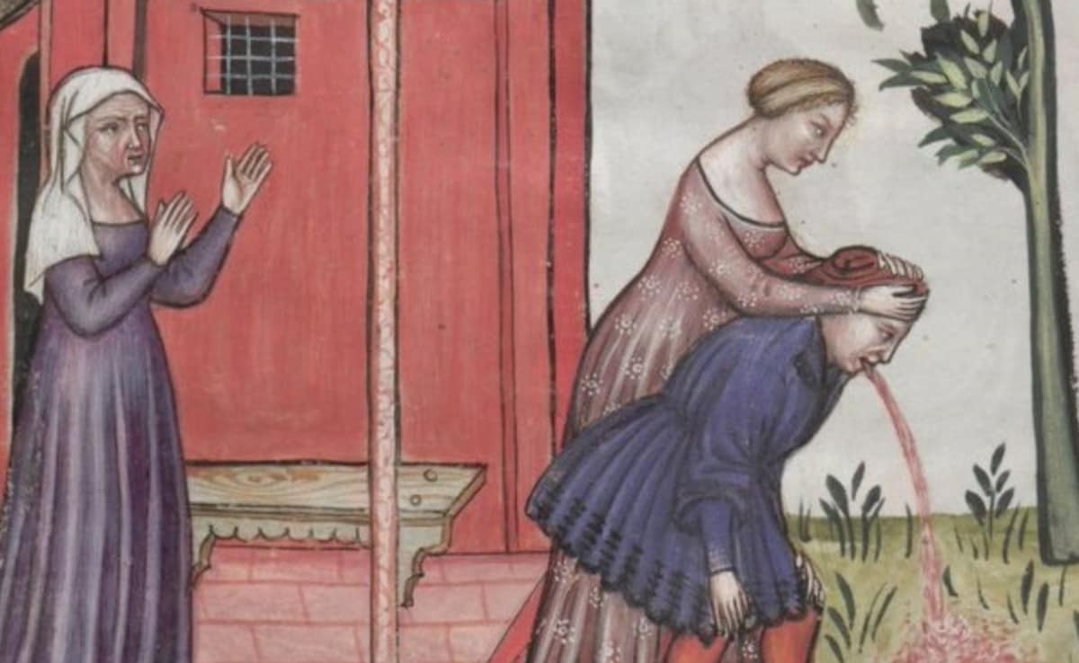 Did European medieval women really 'poison' their husbands everyday ...
