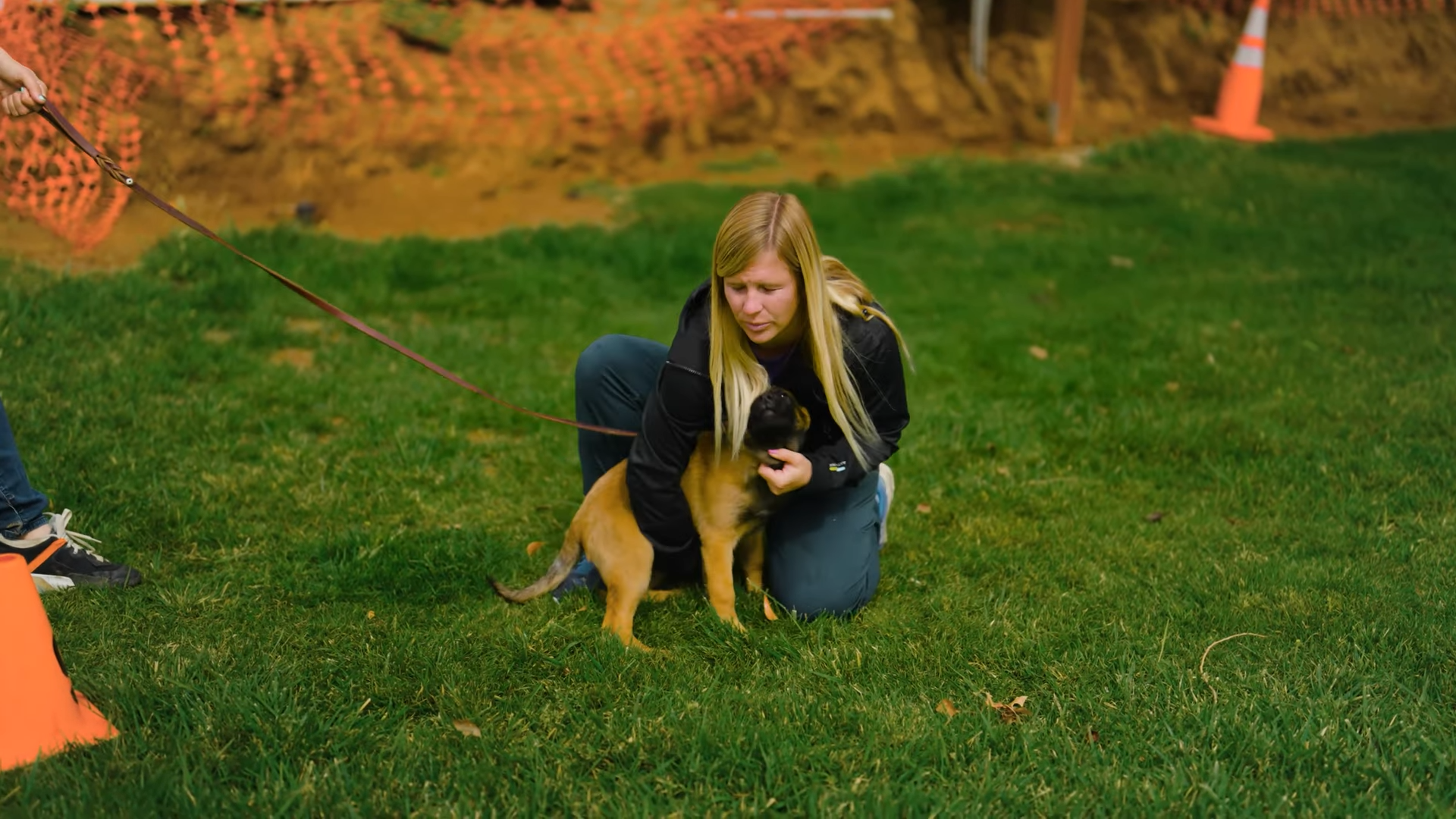 Why yelling “come” repeatedly teaches puppies to ignore it