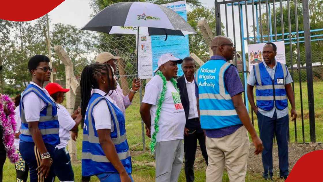 Kenya's National Irrigation Authority announces managerial jobs on ...