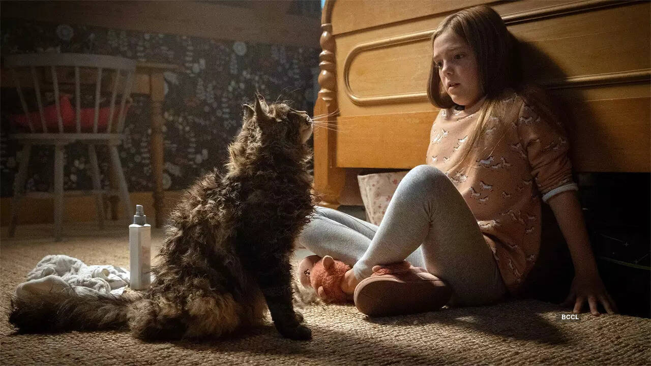Top movies where human choices turned innocent pets into monsters