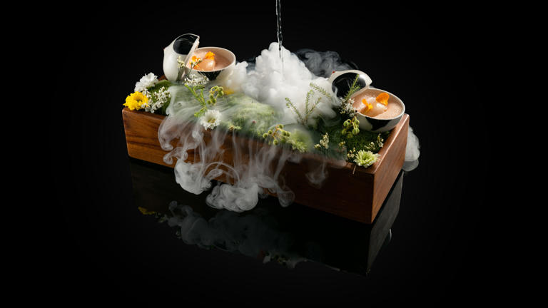 Plant-forward dining, perfected: Restaurants putting luxury vegetarian ...