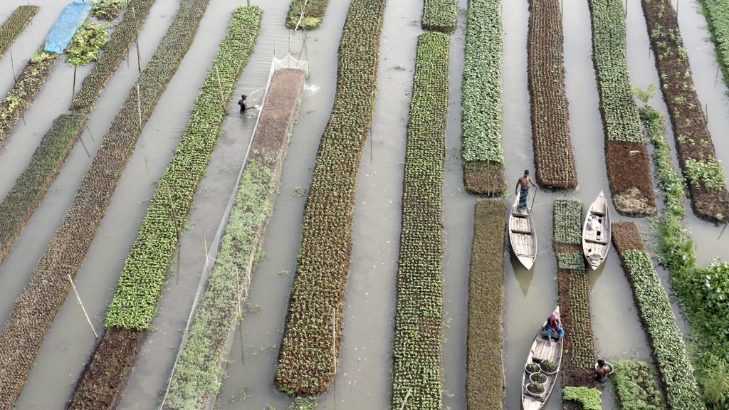 ‘Elements of(f) Balance' Doc Maker Scouted Earth to Showcase Humans ...