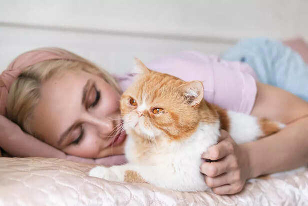 Ever caught your cat watching you sleep? Here’s why